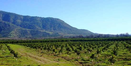 Organización administrativa de la Región de O’Higgins Icarito